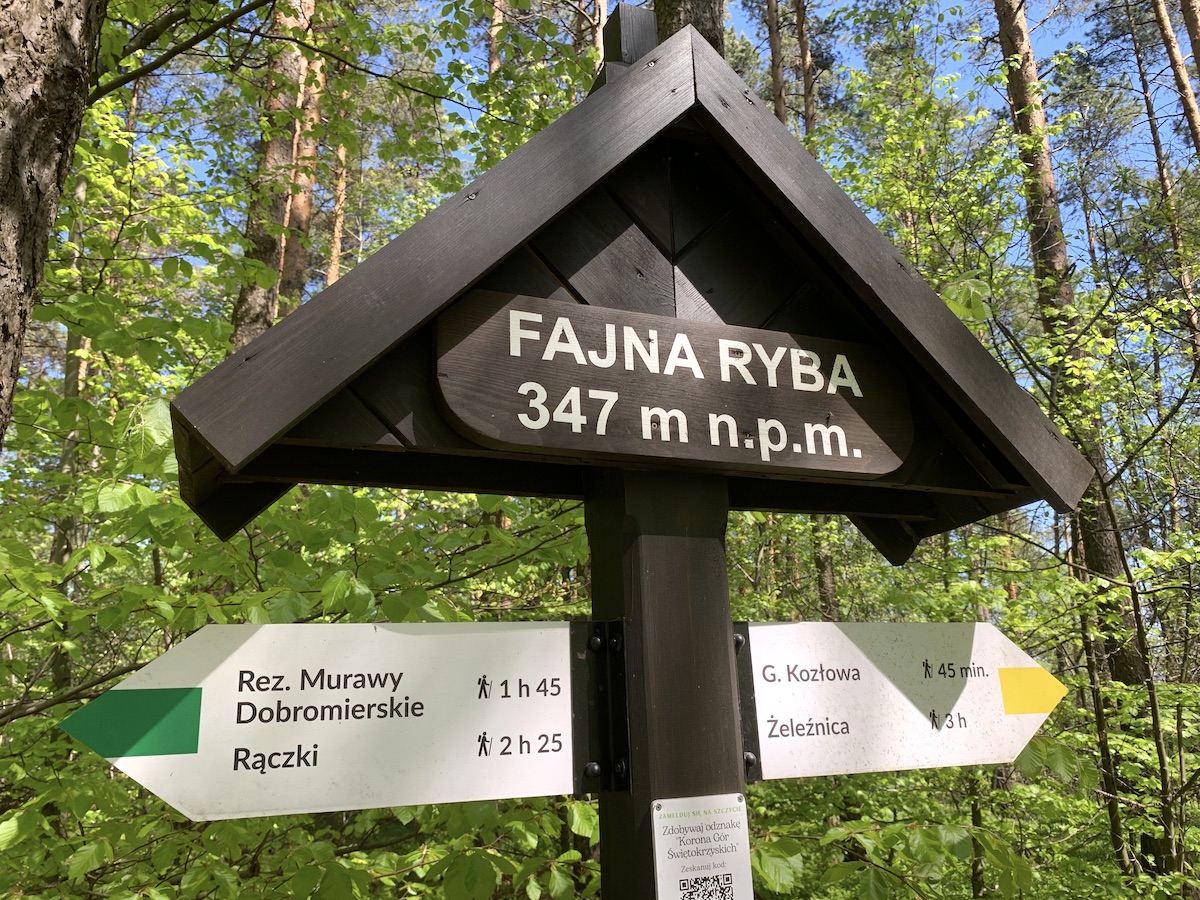 Fajna Ryba - najwyższy szczyt województwa łódzkiego